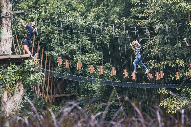 Phoenix Zipline Adventure Park  Chiang Mai Thrills - Key Points