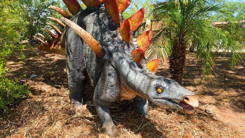 Phoenix Zoo One Day General Admission Ticket - Key Points