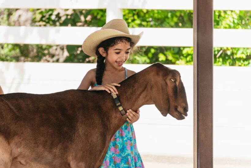 Phoenix Zoo One Day General Admission Ticket - The Sum Up: Is the Phoenix Zoo Worth It?