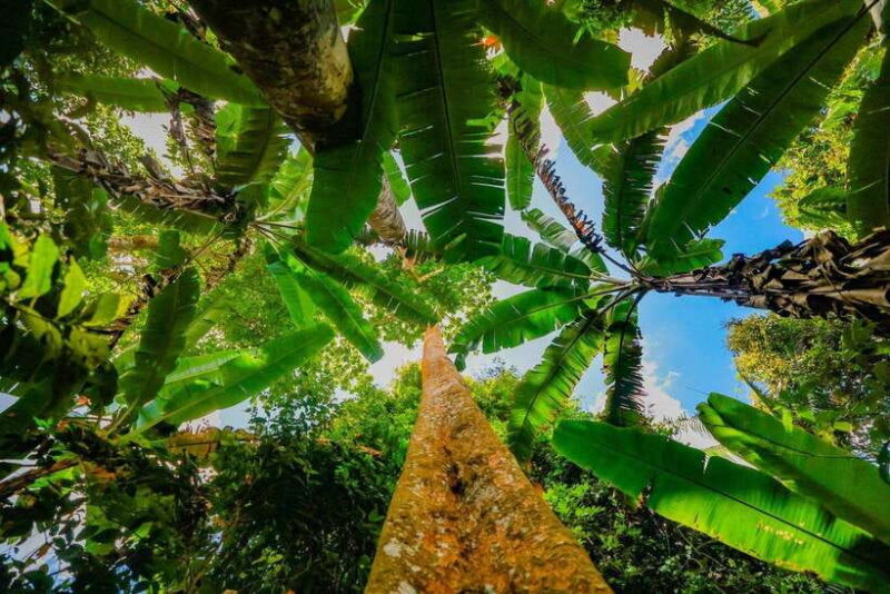 Phong Nha 1 Day Tour: Paradise Cave - Dark Cave - Key Points