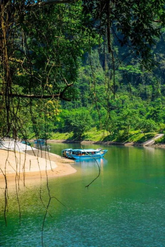Phong Nha/Dong Hoi: Zipline Dark Cave & Phong Nha Cave Trip - What Makes This Tour Special?