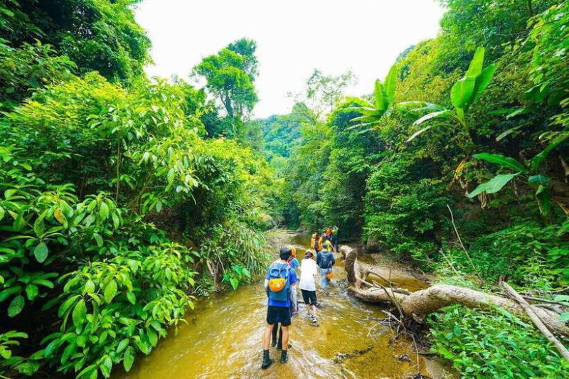 Phong Nha: ELEPHANT CAVE & MA DA VALLEY JUNGLE TREK 1D - Is This Tour Worth the Price?