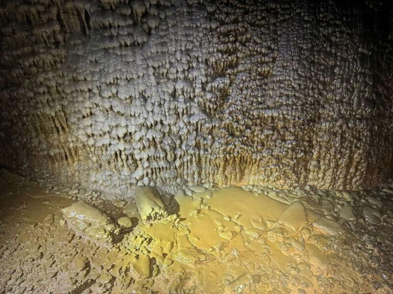 Phong Nha: Paradise Cave 4km Adventure - Who Should Consider This Tour?