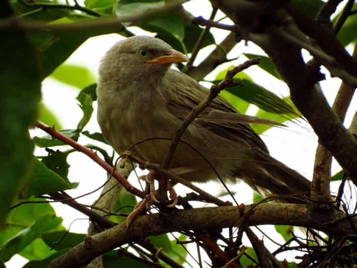 Phong Nha - Paradise Cave & Dark Cave - Duck Farm - An In-Depth Look at the Tour Experience