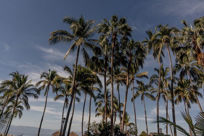 Photo Session Experience in Vallarta - Overview of the Experience
