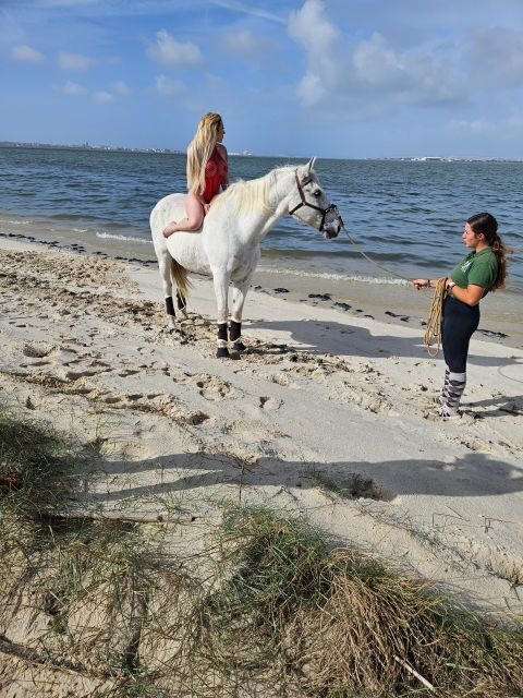Photo Session With Horses on The Beach or in The Countryside - What to Expect During Your 45-Minute Session