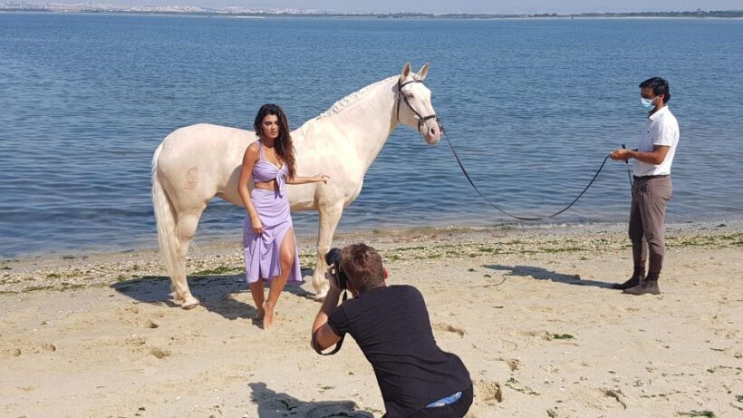 Photo Session With Horses on The Beach or in The Countryside - The Value of the Experience