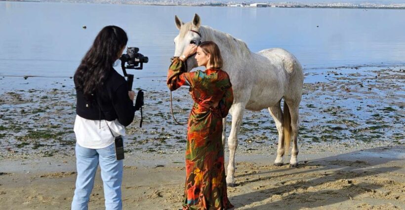 Photo Session With Horses on The Beach or in The Countryside - The Sum Up: Is It Worth It?