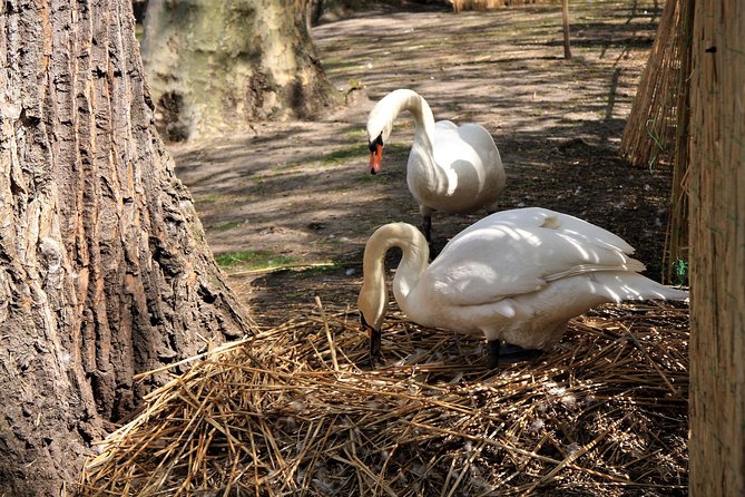 Photo Tour "Philip the Good" + Boat trip - What We Loved