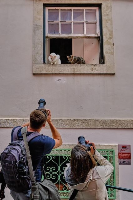 Photo Walk In Alfama, Graça and Mouraria With Gilby VM - FAQs