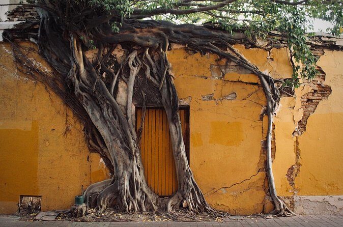 Photo Walking Tour Historic District Mazatlán - FAQ