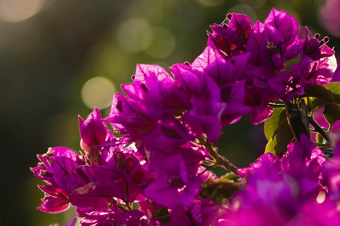 Photo Walking Tour in Sitges - Photography Tips and Techniques