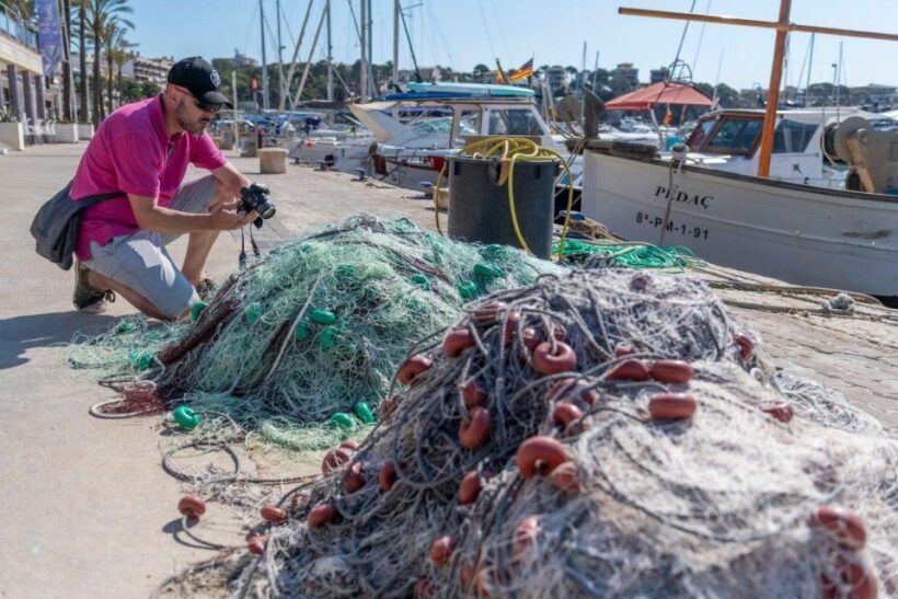 Photo workshop in the port of Porto Cristo - Who Should Consider This Tour?