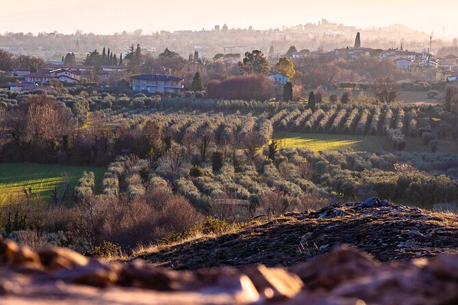 Photographic tour at sunset on Lake Garda - What to Expect During the Tour