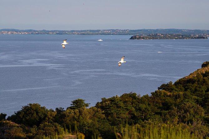 Photographic tour at sunset on Lake Garda - FAQ