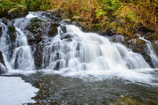 Photography, Hiking & Ferry to Bowen Island - Discovering the Magic of Bowen Island