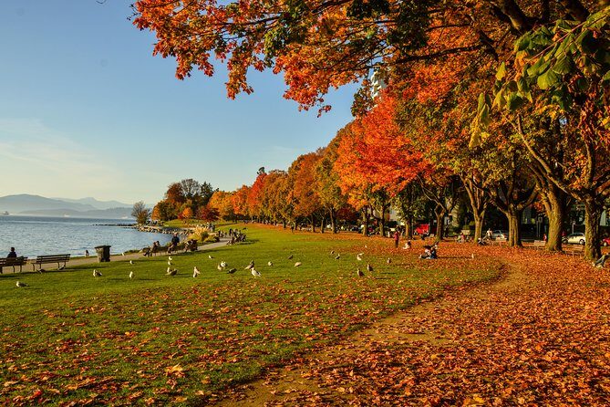 Photography & Hiking in Nature - Who Should Book This Tour?