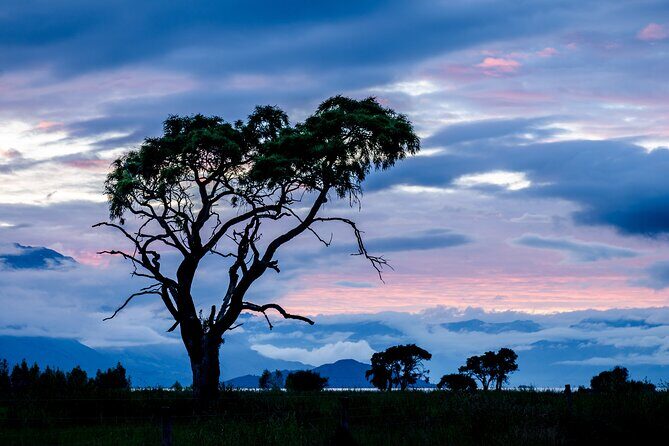 Photography Tour from Queenstown to Glenorchy - 1/2 Day - The Experience in Depth