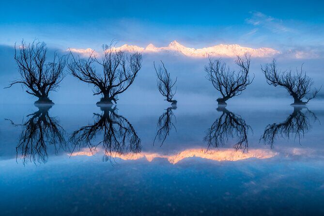 Photography Tour from Queenstown to Glenorchy - 1/2 Day - Who This Tour Is Best For