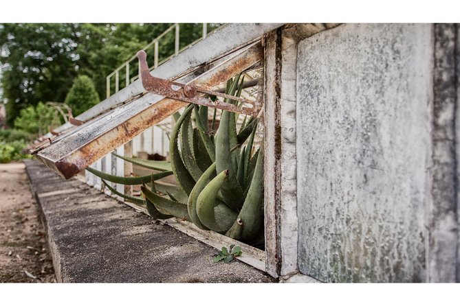 Photography tour of Château Chenonceau - The Sum Up: Who Should Consider This Tour?