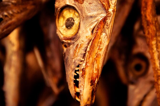 Photography Tour of Mesmerizing Markets of Kolkata - What to Expect at Each Stop