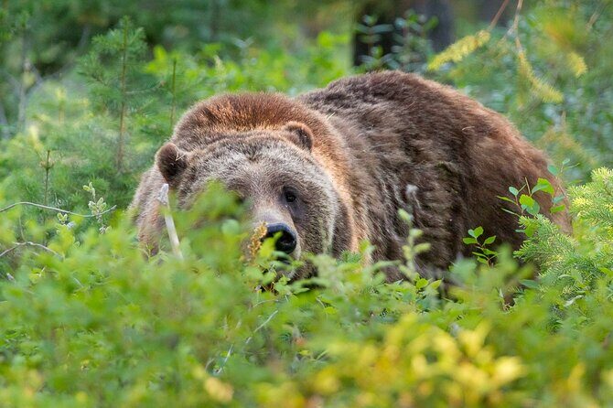 Photography Workshop in Grand Teton National Park - An In-Depth Look at the Experience