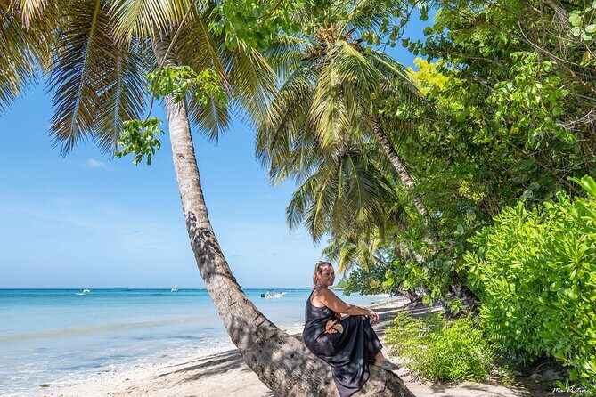 PHOTOSHOOT Bayahibe - What Travelers Are Saying