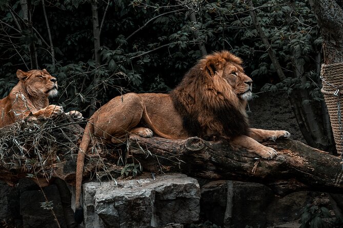 Photoshoot Experience in Amsterdam - The Sum Up: The Practical, Personal Touch for Your Amsterdam Photos