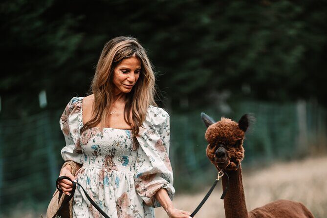 Photoshoot with Alpacas and Farm Experience near Seattle - Key Points