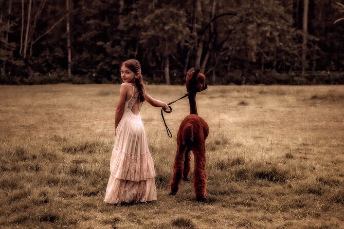 Photoshoot with Alpacas and Farm Experience near Seattle - A Practical Look at the Experience