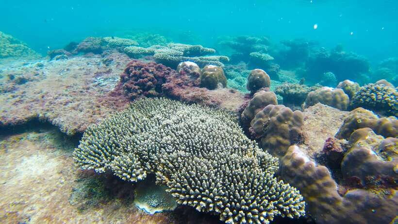 Phu Quoc: 3 Island Tour by Boat with Guide - The Beaches and Leisure Time