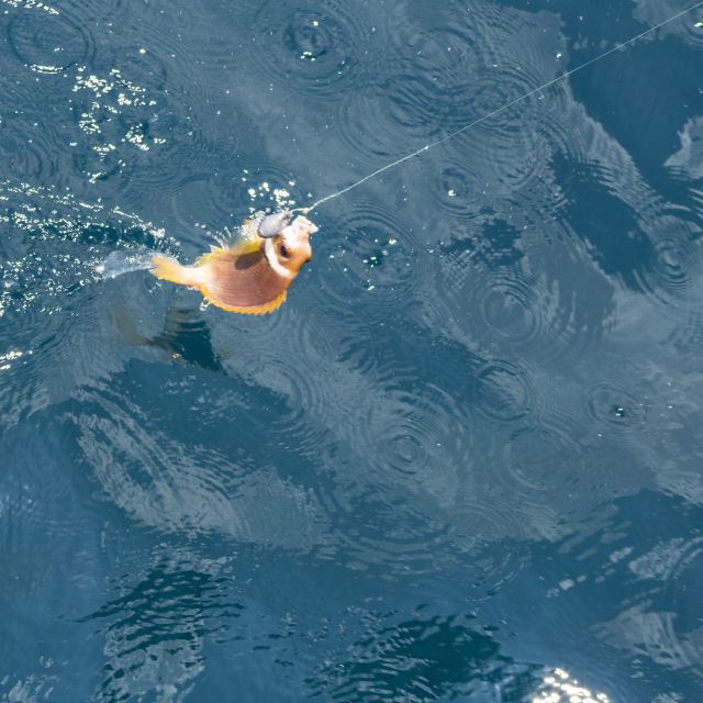 Phu Quoc: 3 Island Tour by Boat with Guide - The Sum Up