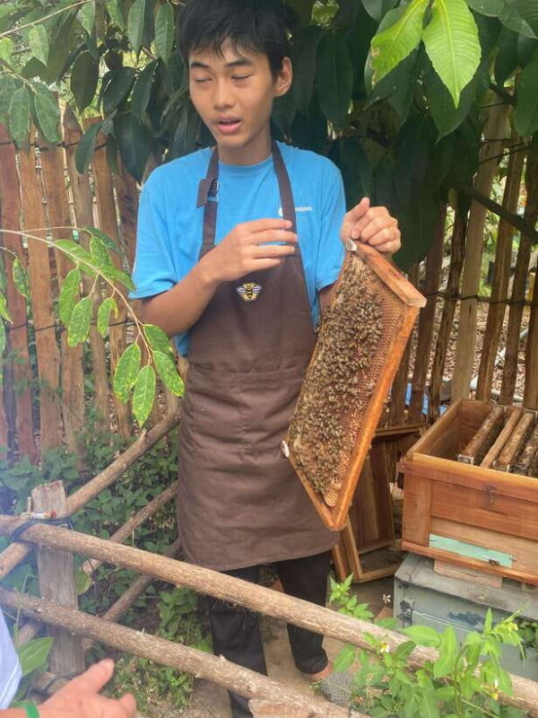 Phu Quoc Countryside - Snorkeling - BBQ Trip - What Travelers Are Saying