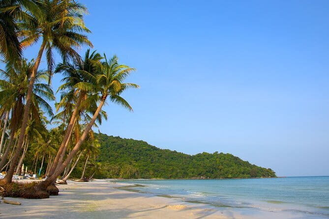 Phu Quoc Cua Can river Full Day Tour - What Travelers Say