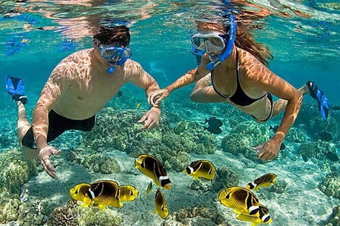 Phu Quoc Food Tour - Led by Women - Final Thoughts