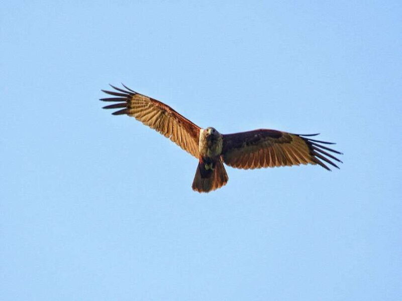 Phu Quoc HIKING tour: National Park - Fishing Village - Frequently Asked Questions