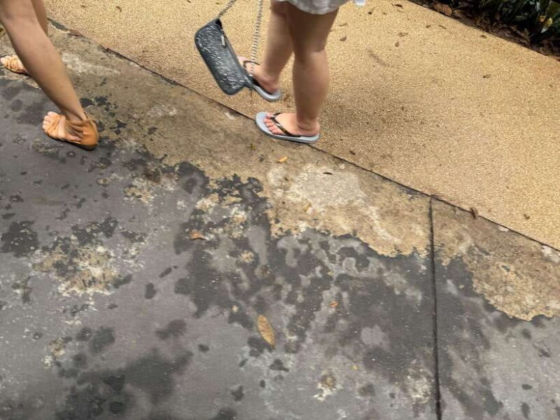 Phu Quoc Island Package: Snorkeling, Show, Vinwonder, Safari - Who Would Love This Tour?