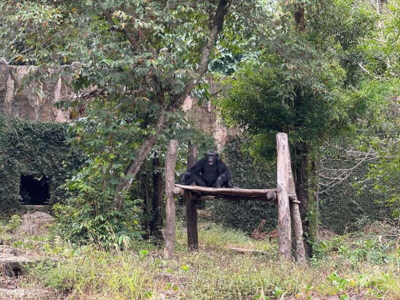 Phu Quoc Island Package: Snorkeling, Show, Vinwonder, Safari - Frequently Asked Questions