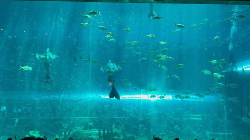 Phu Quoc Island Vinwonder And Safari Private Tour - Experience Phu Quoc’s Top Attractions with the Vinwonder and Safari Private Tour