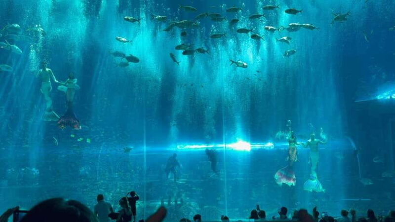 Phu Quoc Island Vinwonder And Safari Private Tour - A Deep Dive into the Attractions and Experience