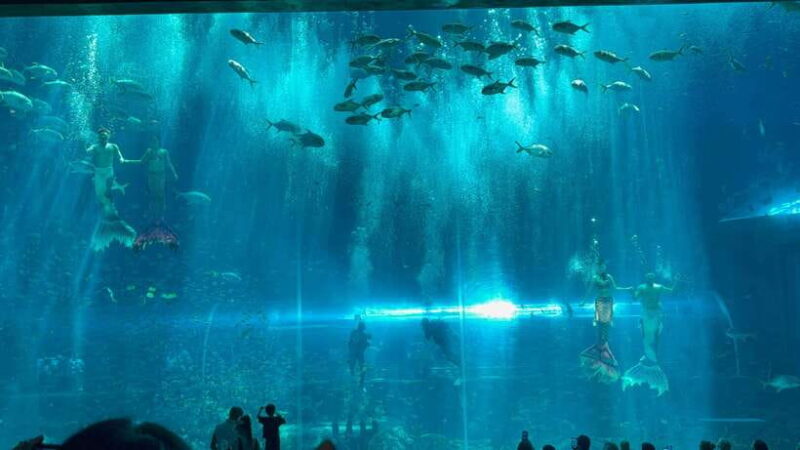 Phu Quoc Island Vinwonder And Safari Private Tour - Making the Most of Your Day