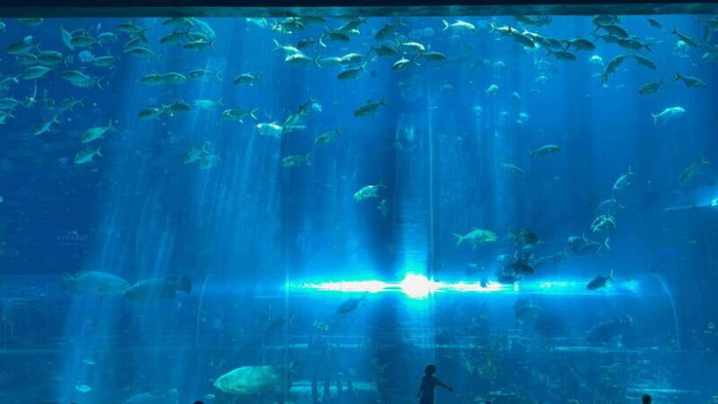 Phu Quoc Island Vinwonder And Safari Private Tour - Final Thoughts