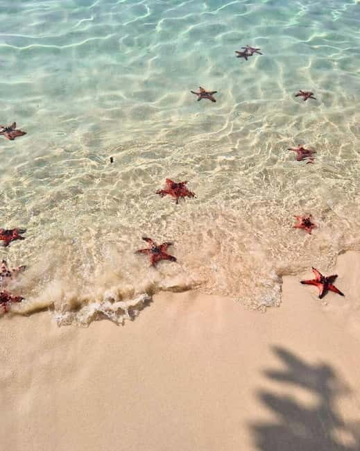 Phu Quoc: Kayaking with Starfish Beach and Bee Farm Tour - The Value and Practicalities