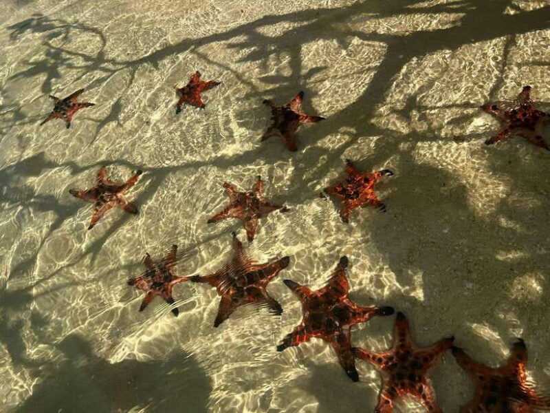 Phu Quoc: Private Fishing Tour with Local Fishermen - Key Points