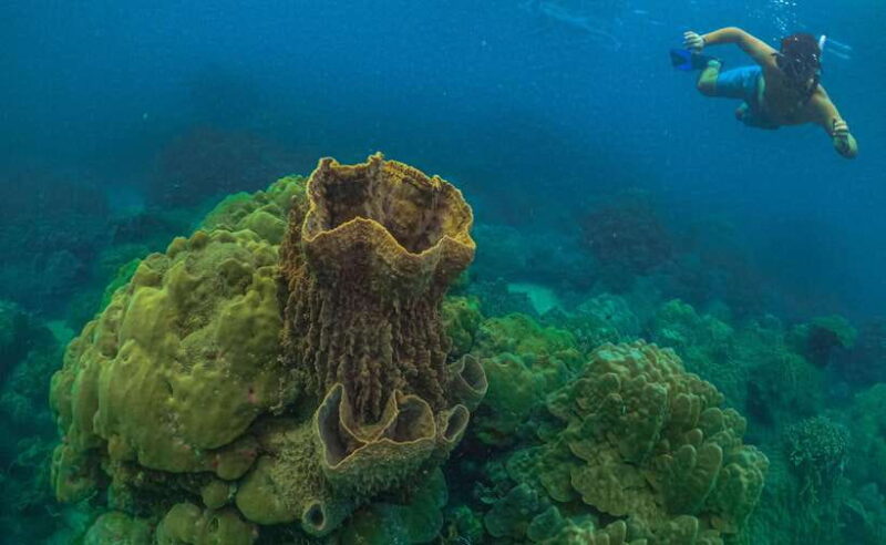 Phu Quoc : Scuba Diving and Parasailing at Roi Island - Key Points