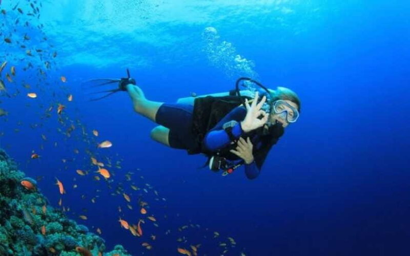 Phu Quoc : Scuba Diving and Parasailing at Roi Island - Final Words