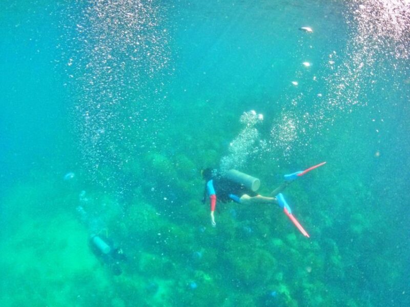 Phu Quoc: Scuba Diving Experience for All Levels - What to Expect: The Itinerary in Detail