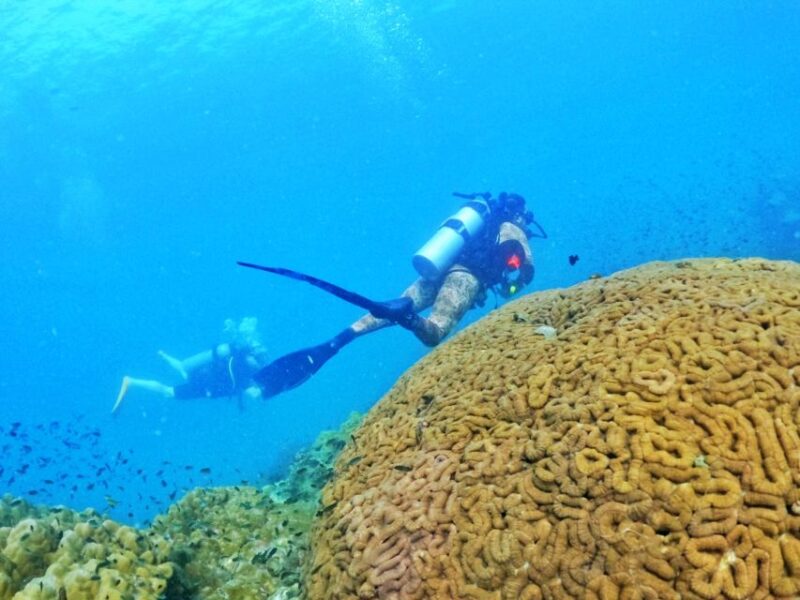 Phu Quoc: Scuba Diving Experience for All Levels - Equipment and Safety