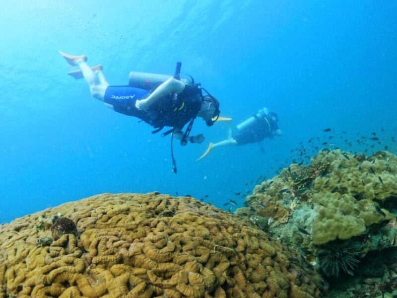 Phu Quoc: Scuba Diving Experience for All Levels - Pricing and Value