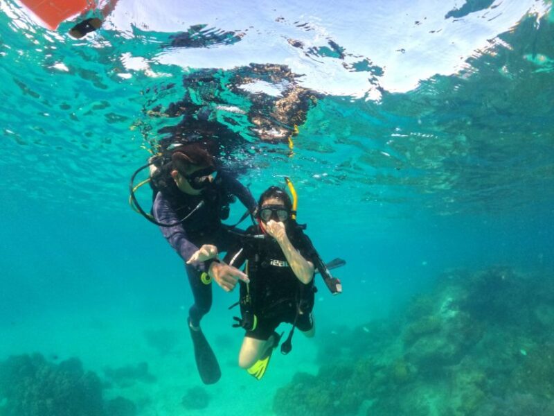 Phu Quoc: Scuba Diving Experience for All Levels - Logistics and Practical Tips